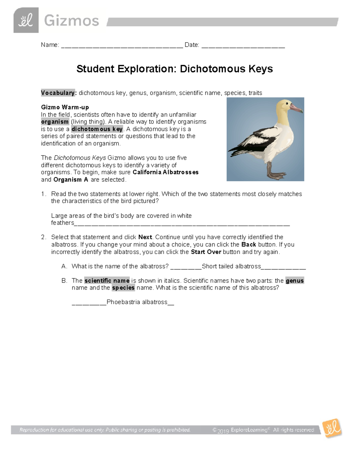 Dichotomous Keys Exploration - Biology Course SE - xgdggff - Studocu