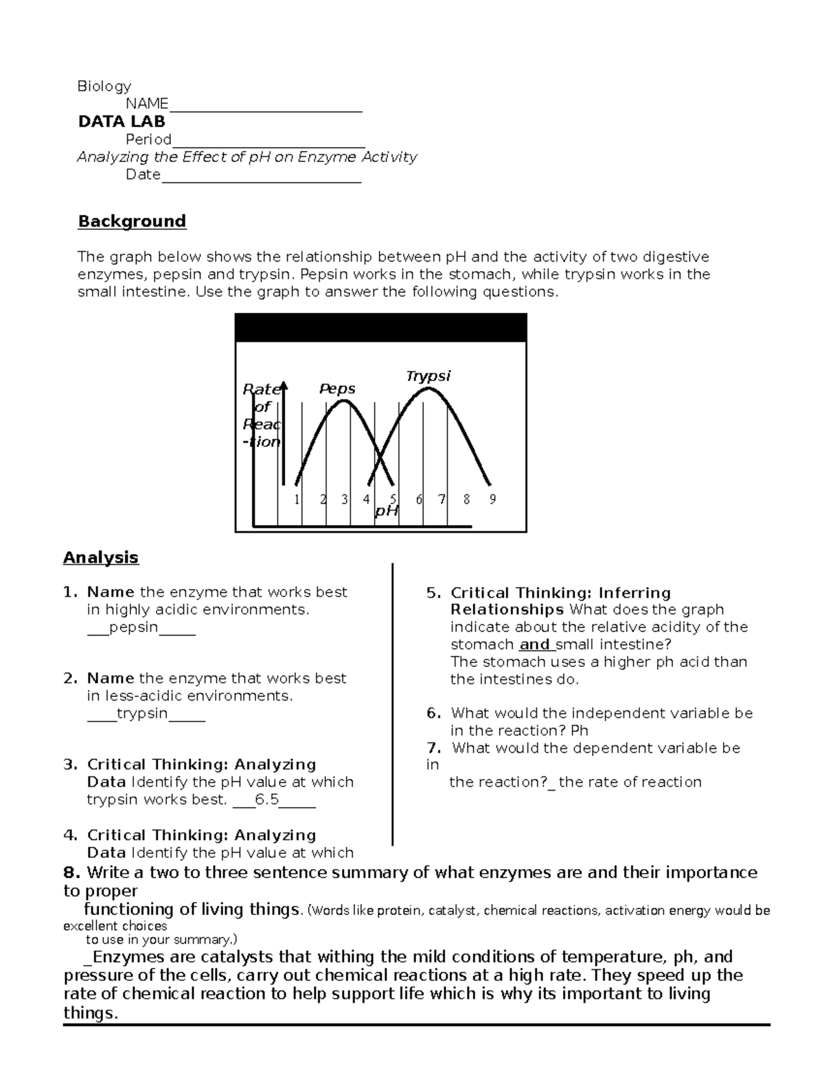 Activity Analyzing the effect of p H on Enzyme with data - Biology NAME