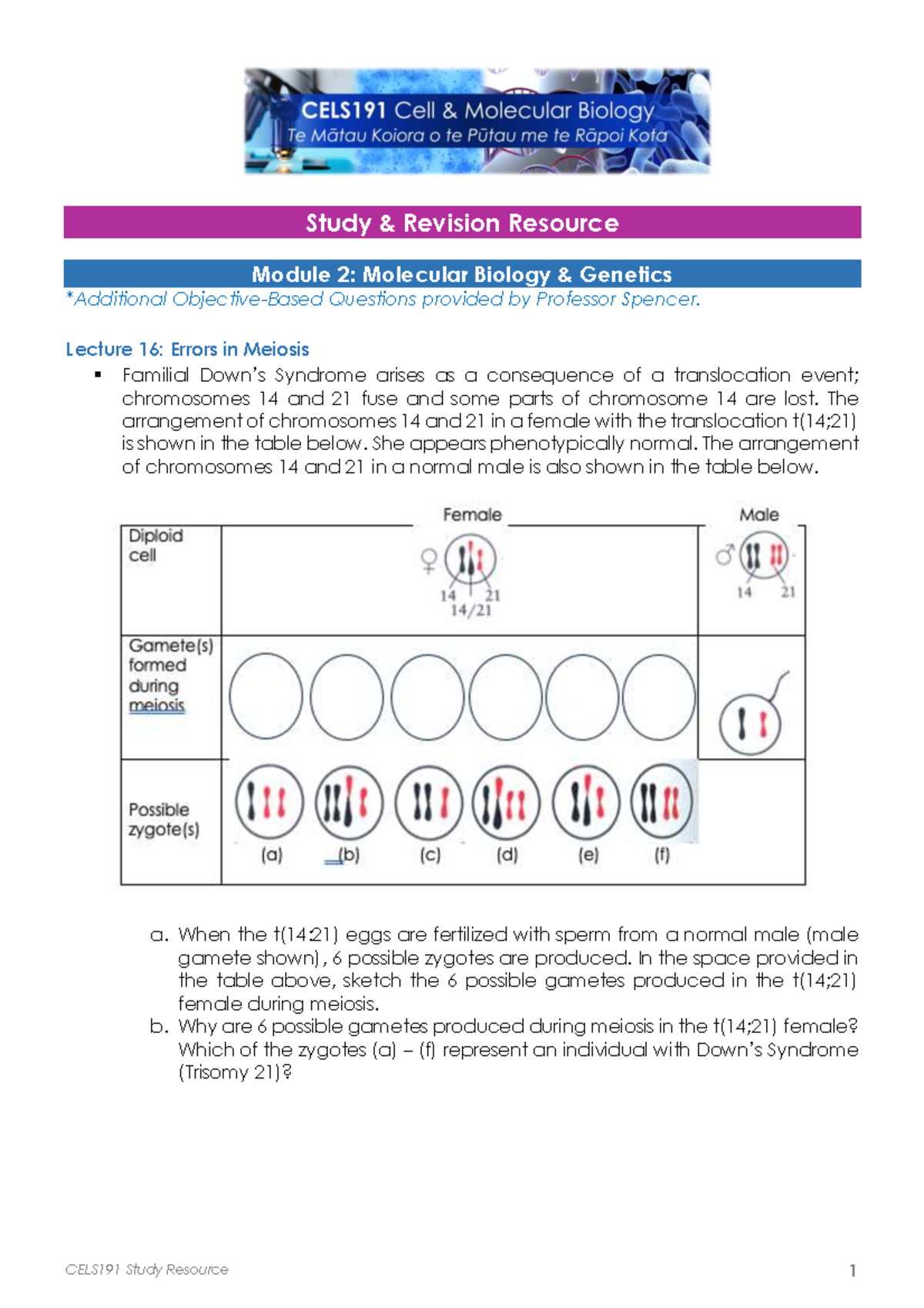 CELS191 Lecture 16: Errors in Meiosis & Familial Syndrome Overview ...