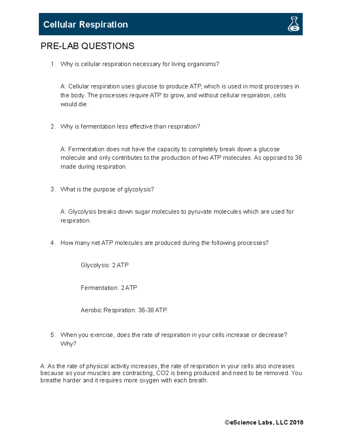 IB 1201 L06 Respiration - PRE-LAB QUESTIONS Why is cellular respiration ...