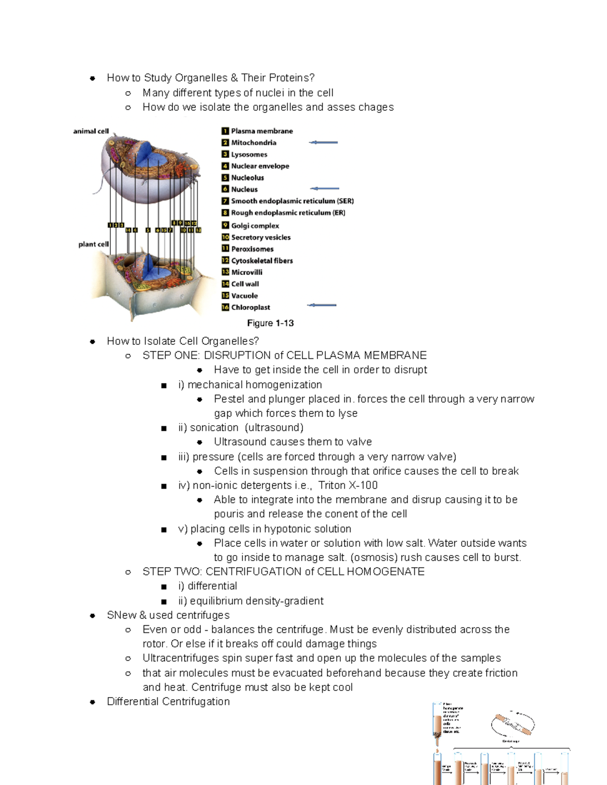 Lecture 5 Cell Bio Bio2382 - How to Study Organelles & Their Proteins ...