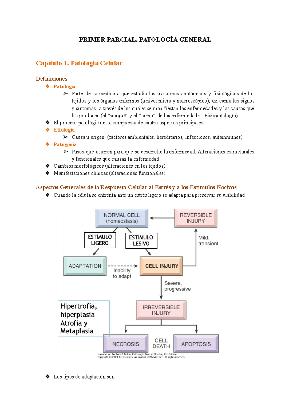PRIMER PARCIAL. PATOLOGÍA GENERAL: Capítulo 1 - Patología Celular - Studocu
