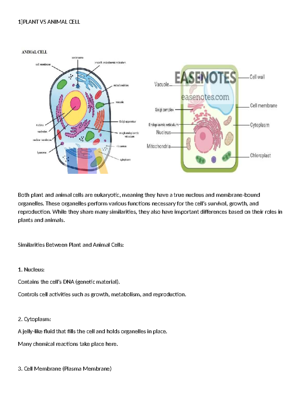 Biology 1: Comparing Plant and Animal Cells with Stem Cell Applications ...