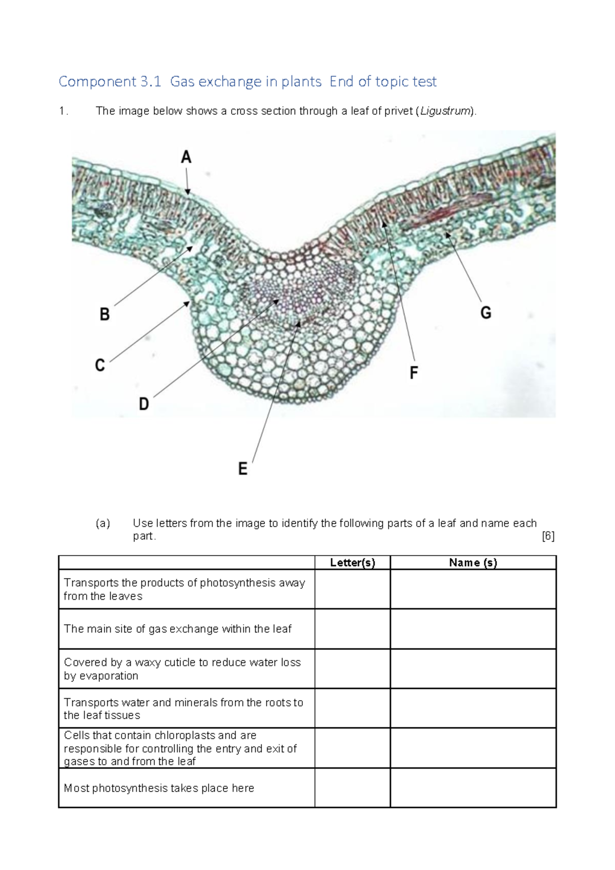 Gas Exchange in Plants: End of Topic Test 1 - Studeersnel