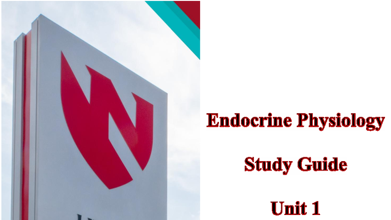 Endocrine System Study Guide (PA 101) with MCQs and Key Concepts - Studocu