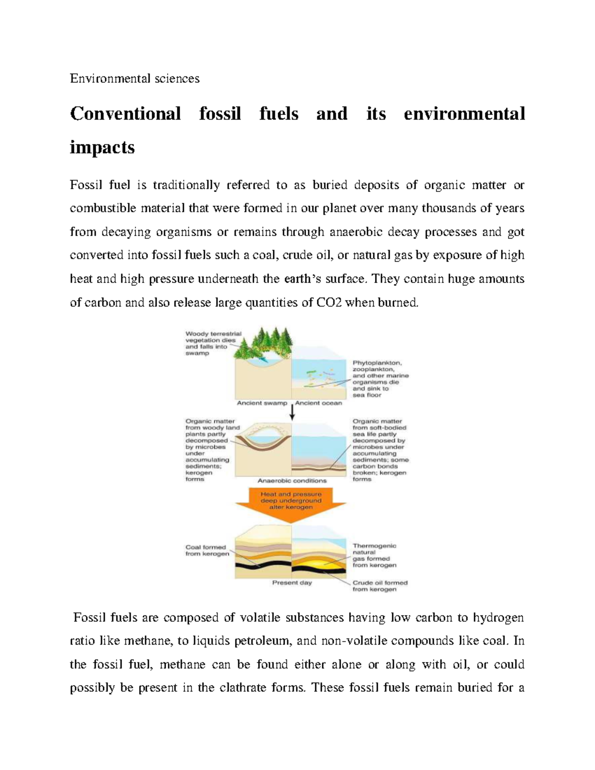 Environmental Impacts of Fossil Fuels: A Comprehensive Overview - Studocu
