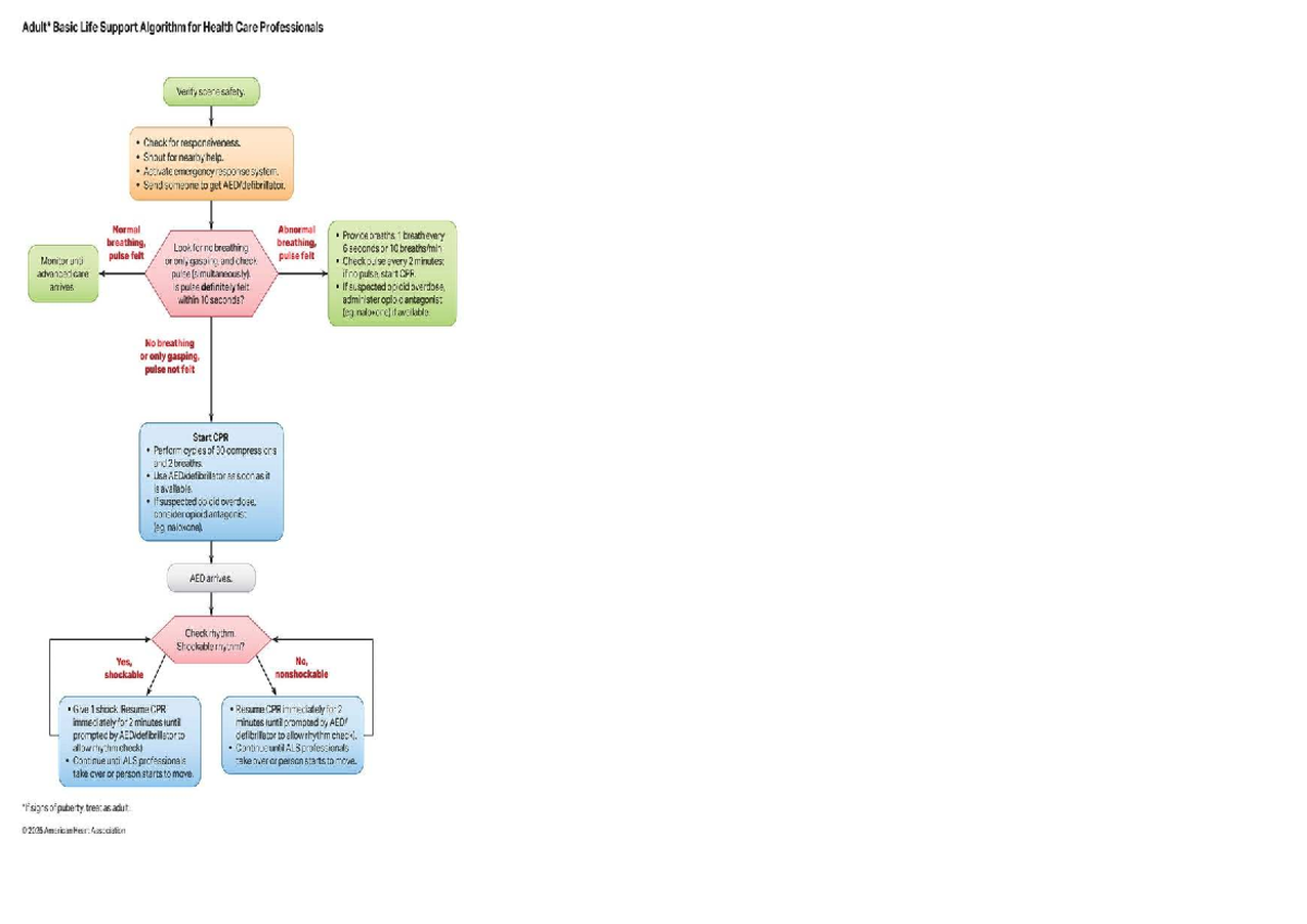 CPR Guidelines and Emergency Response Protocols (Doc4) - Studocu