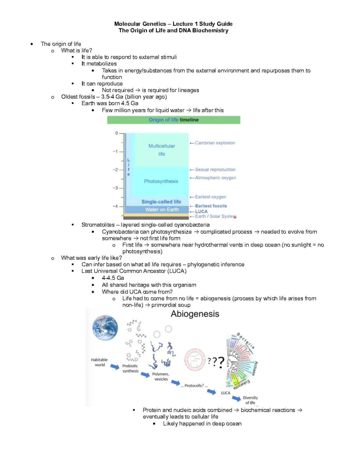Molecular Genetics Lecture 1 Study Guide: The Origin of Life & DNA ...