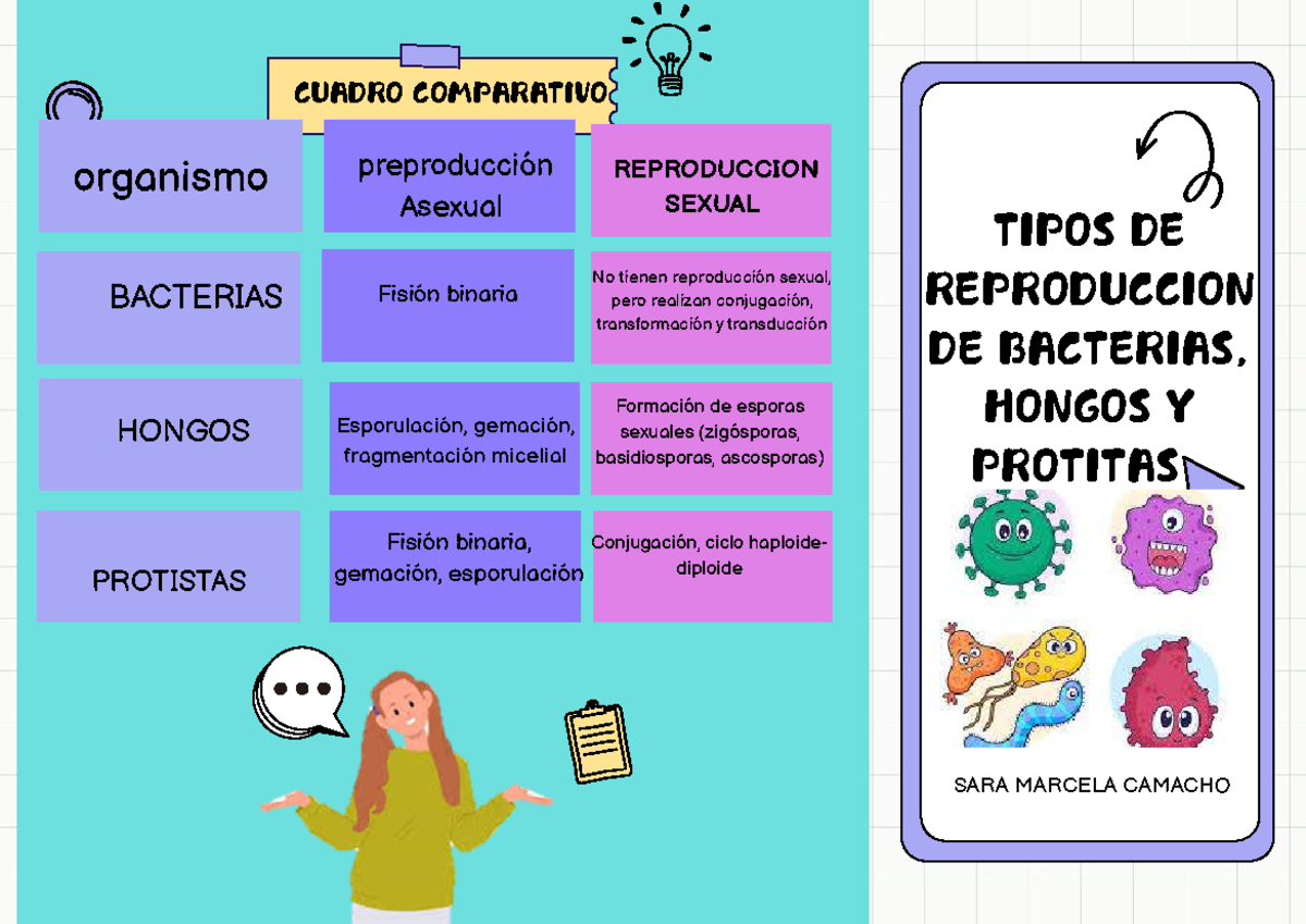 Microorganismos Hongos Protistas Y Bacterias
