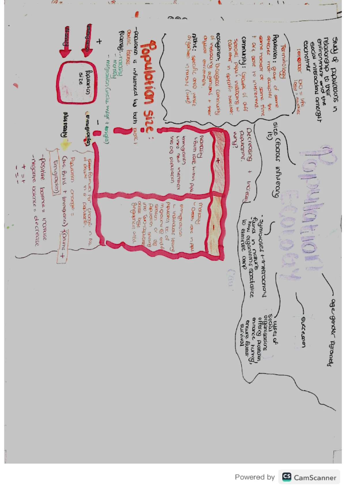 Grade 11 Life Sciences Revision material Term 3 and 4 2024 - Western ...