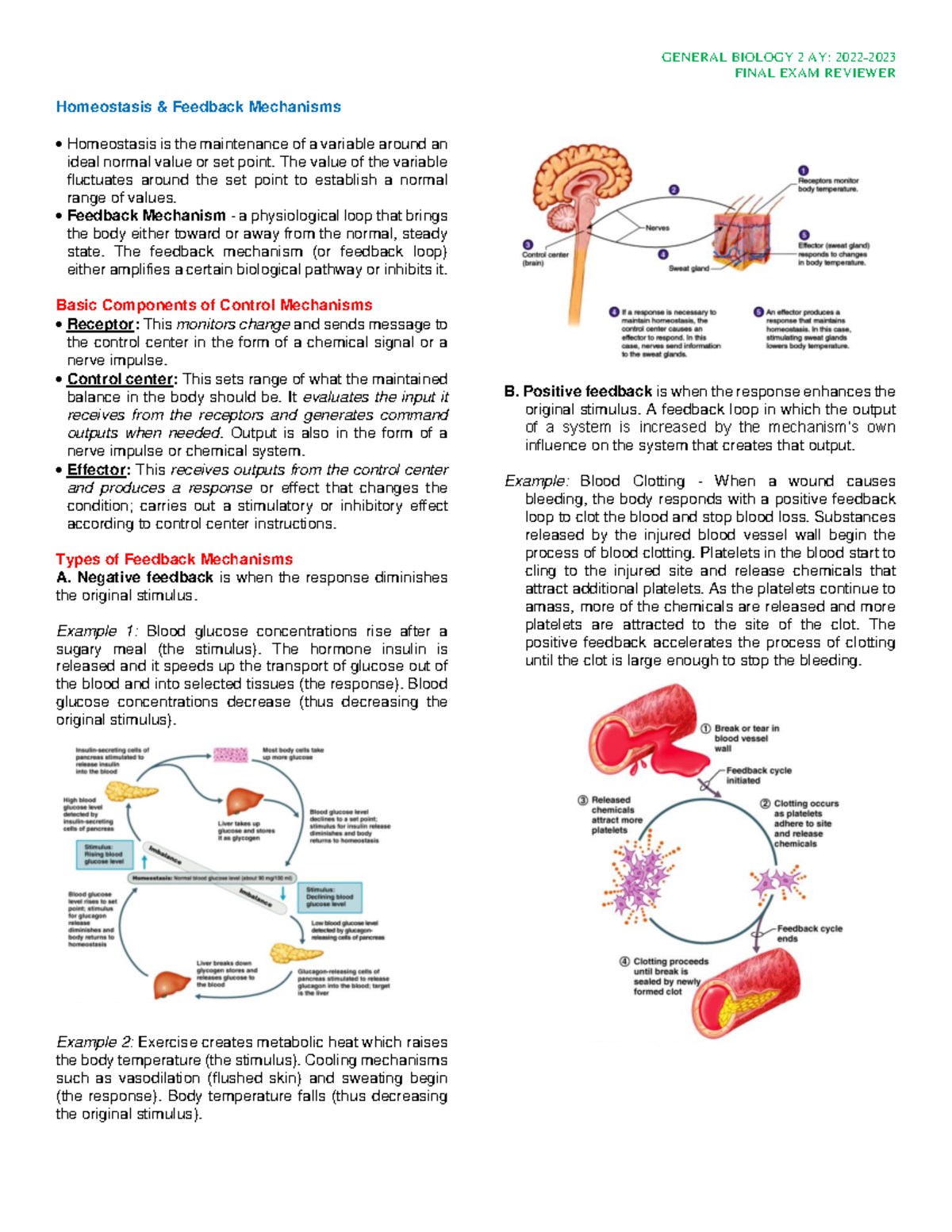 Final Exam Review - Organismal Biology (Course Code: OBG 101) - Studocu