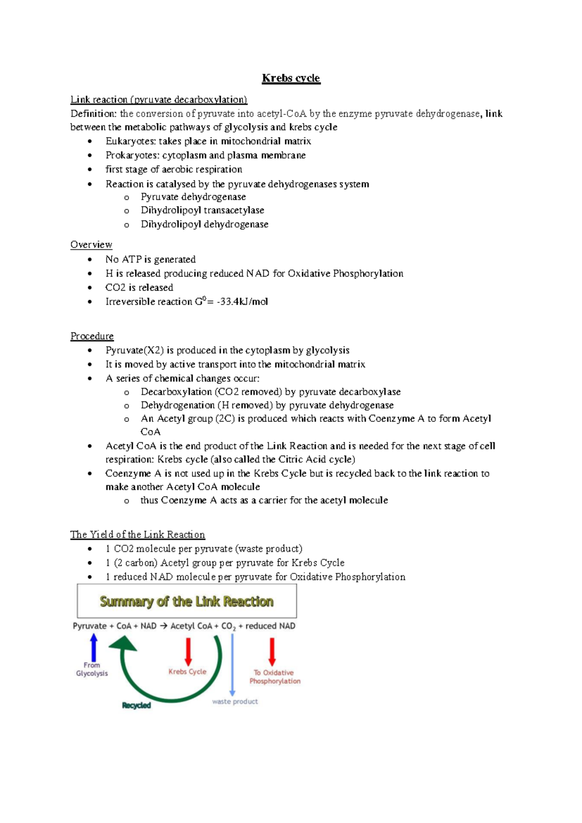 KREBS Cycle Overview & Link Reaction in Cellular Respiration - Studocu