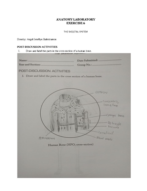 [Solved] What is strict IO monitoring essential for a child with DKA ...