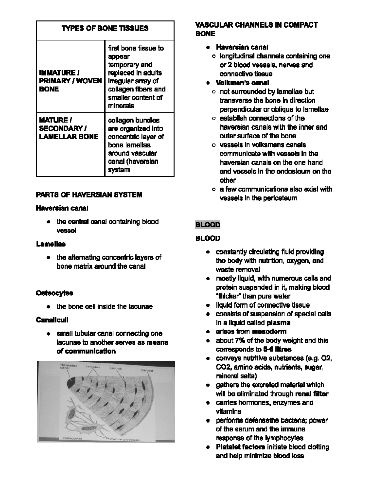 VASCULAR CHANNELS IN BONE TISSUES: ANAPHY 101 LECTURE NOTES - Studocu