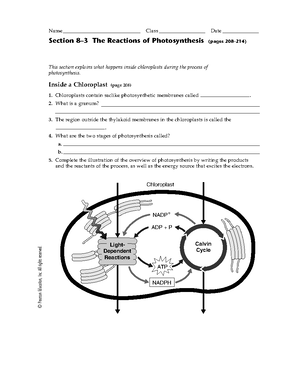 1st 6’s Weeks Notes - Google Docs - 1st Weeks Notes Using undefined ...