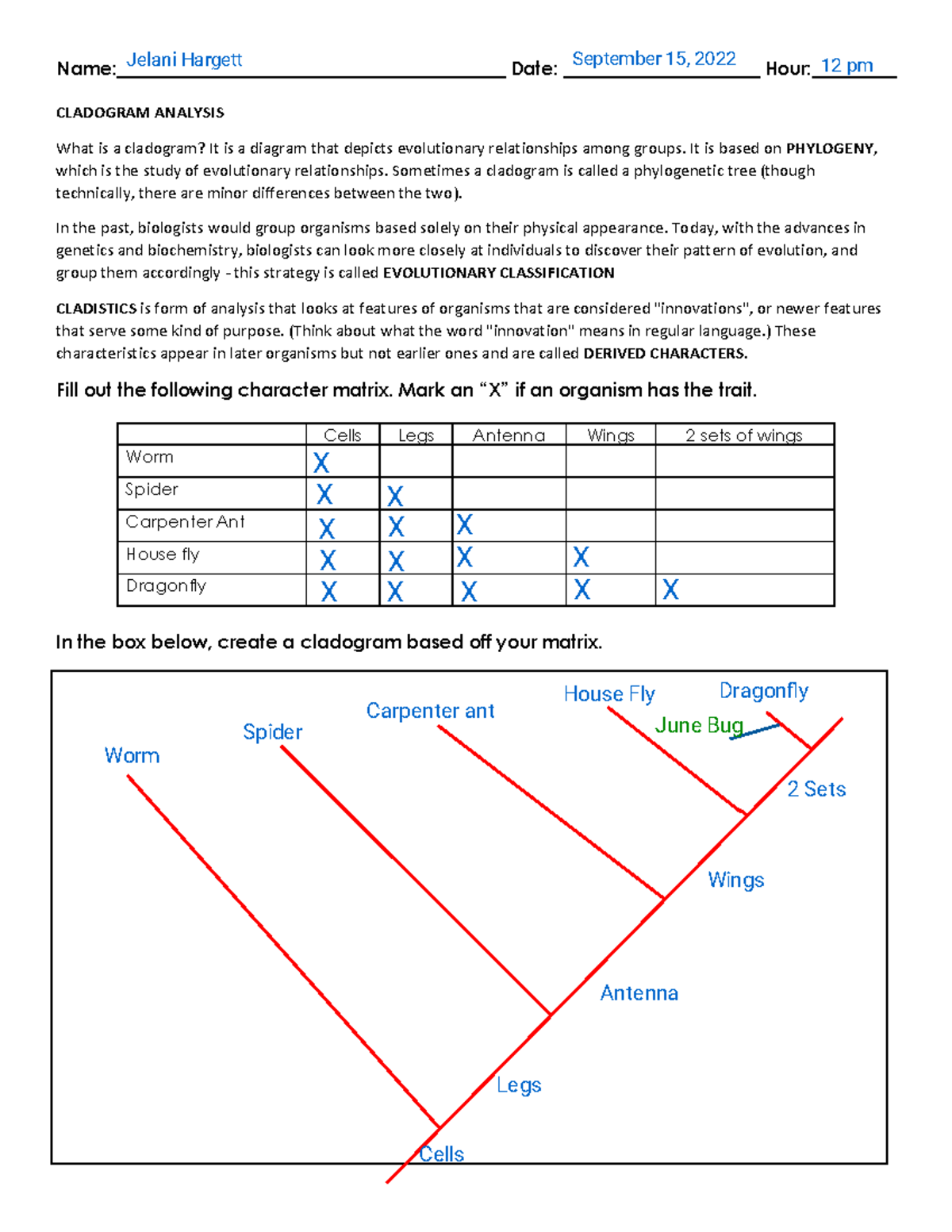 Cladogram Worksheet Analysis - Kami Export (Biology 101) - Studocu