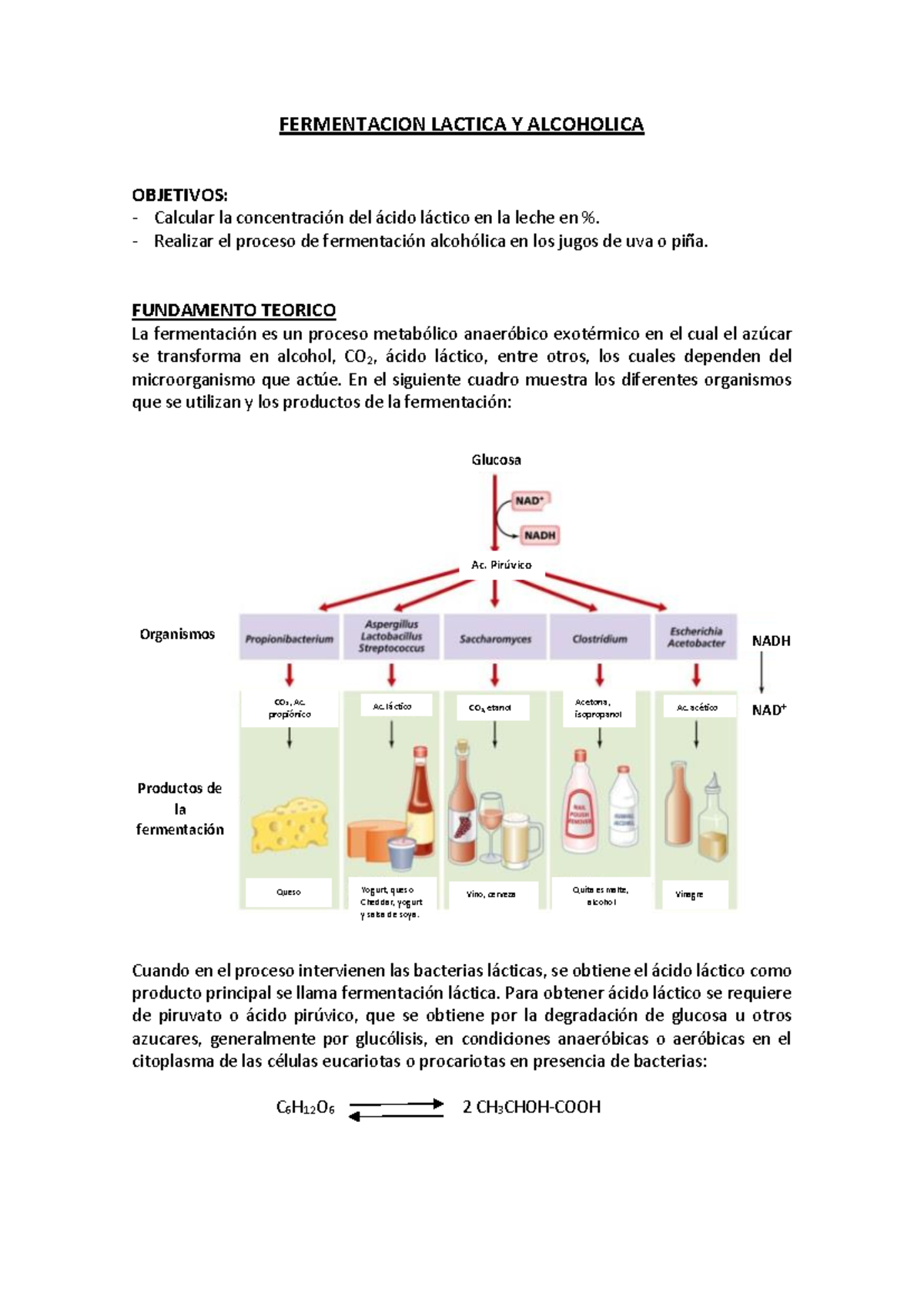 Fermentación Láctica y Alcohólica: Proceso y Experimentos (BIO101 ...