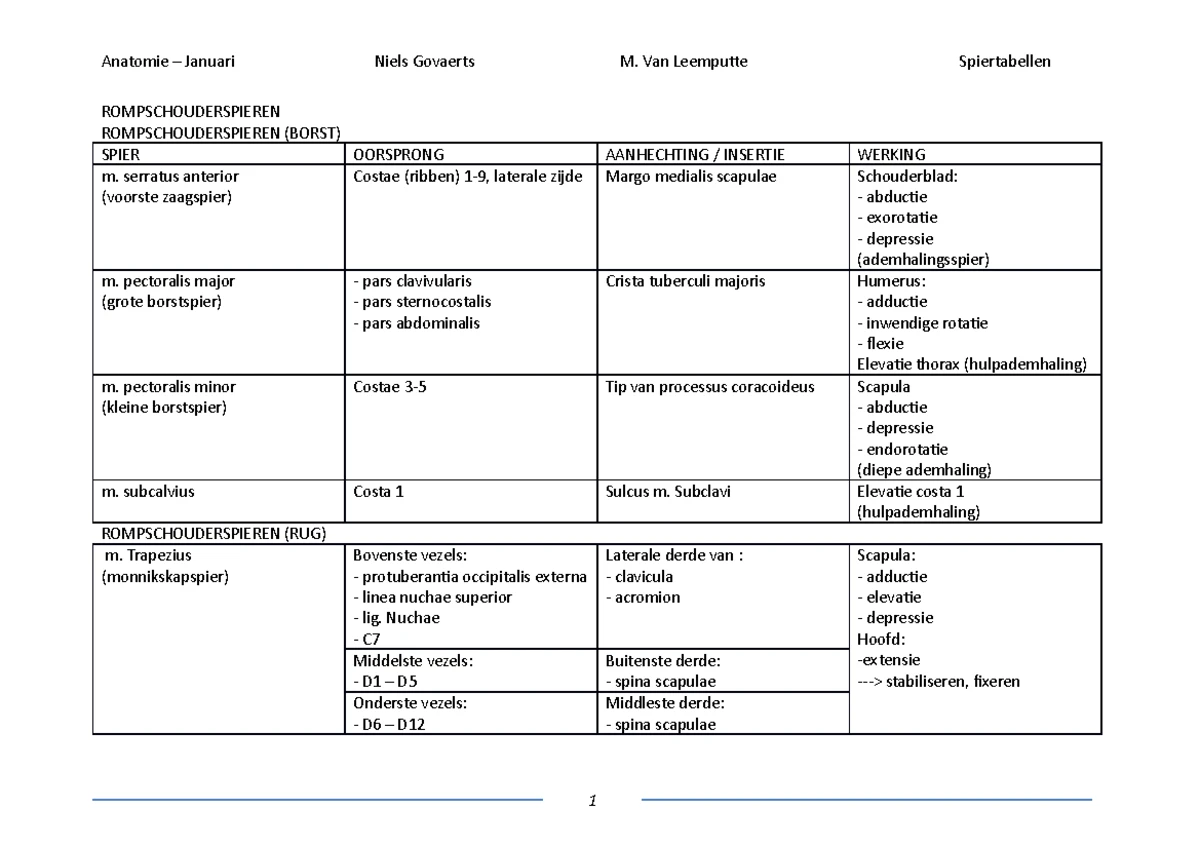 Anatomie Practicum 1 - De processus transversus heeft 3 uitsteeksels ...