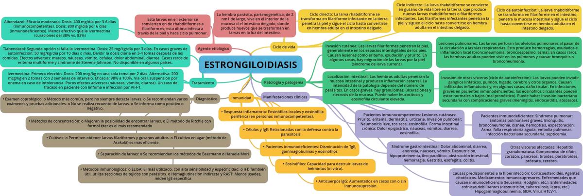 Estrongiloidiasis: Ciclos de Vida y Tratamientos (Curso 2) - Studocu