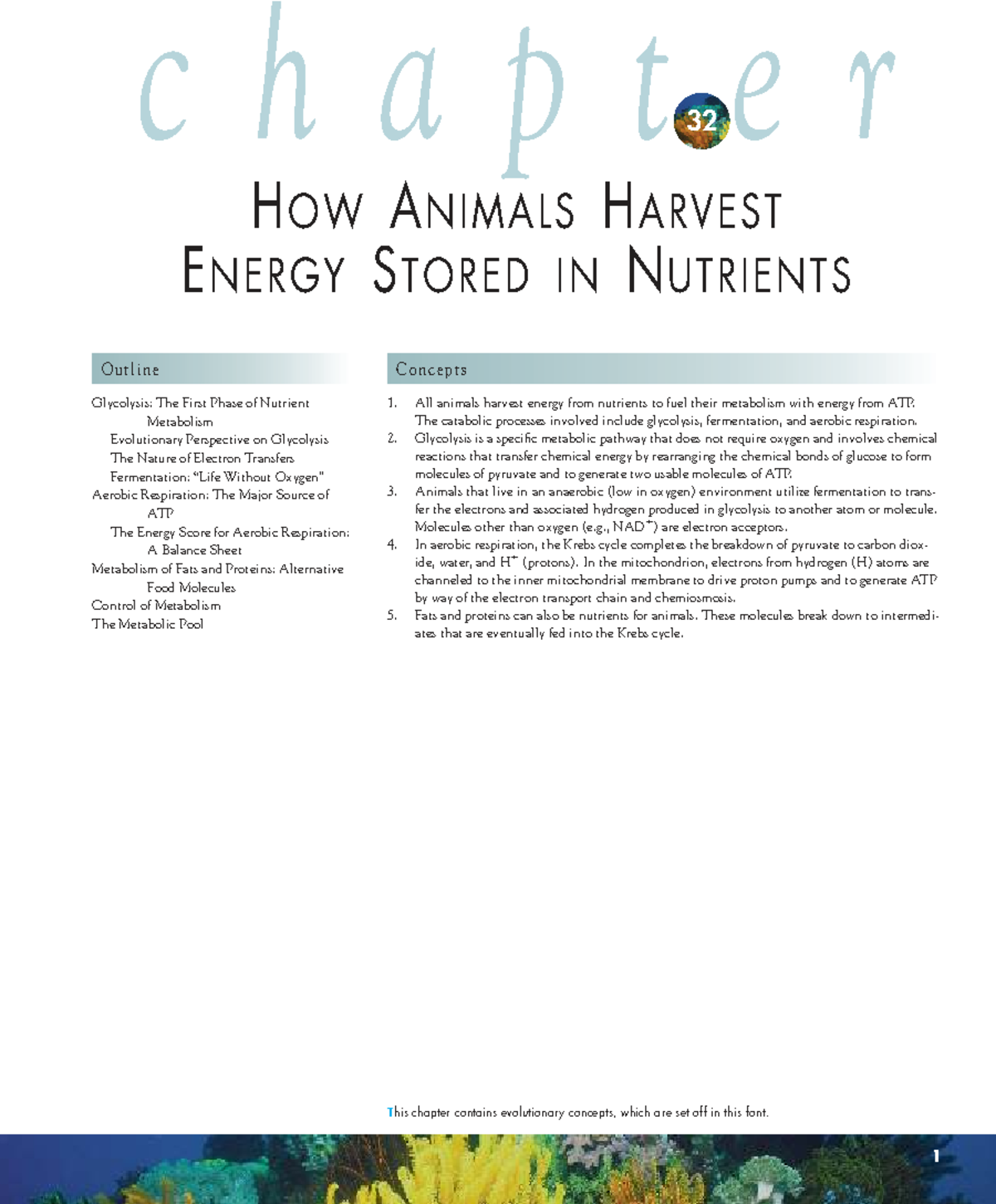 Chapter 32: How Animals Harvest Energy from Nutrients (Glycolysis ...