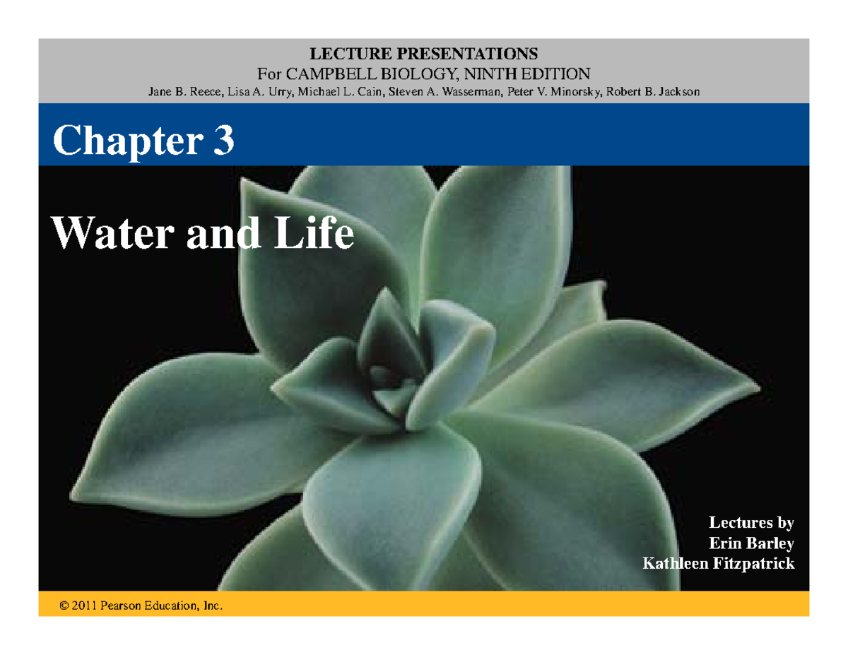 Water's Properties and Their Role in Supporting Life - Bio 1 Ch 3 ...