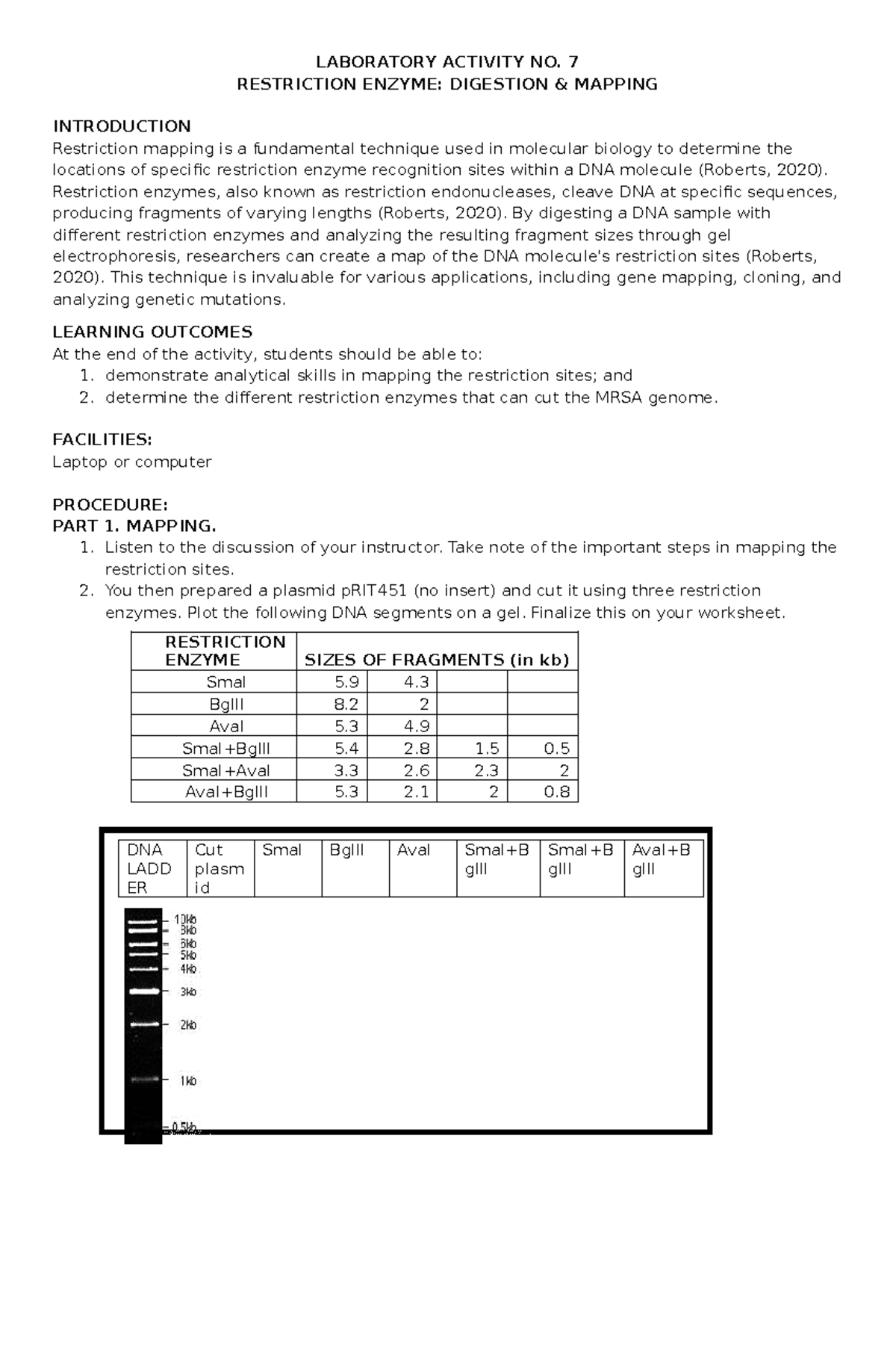 Endterm Laboratory Activity Restriction Mapping - LABORATORY ACTIVITY ...