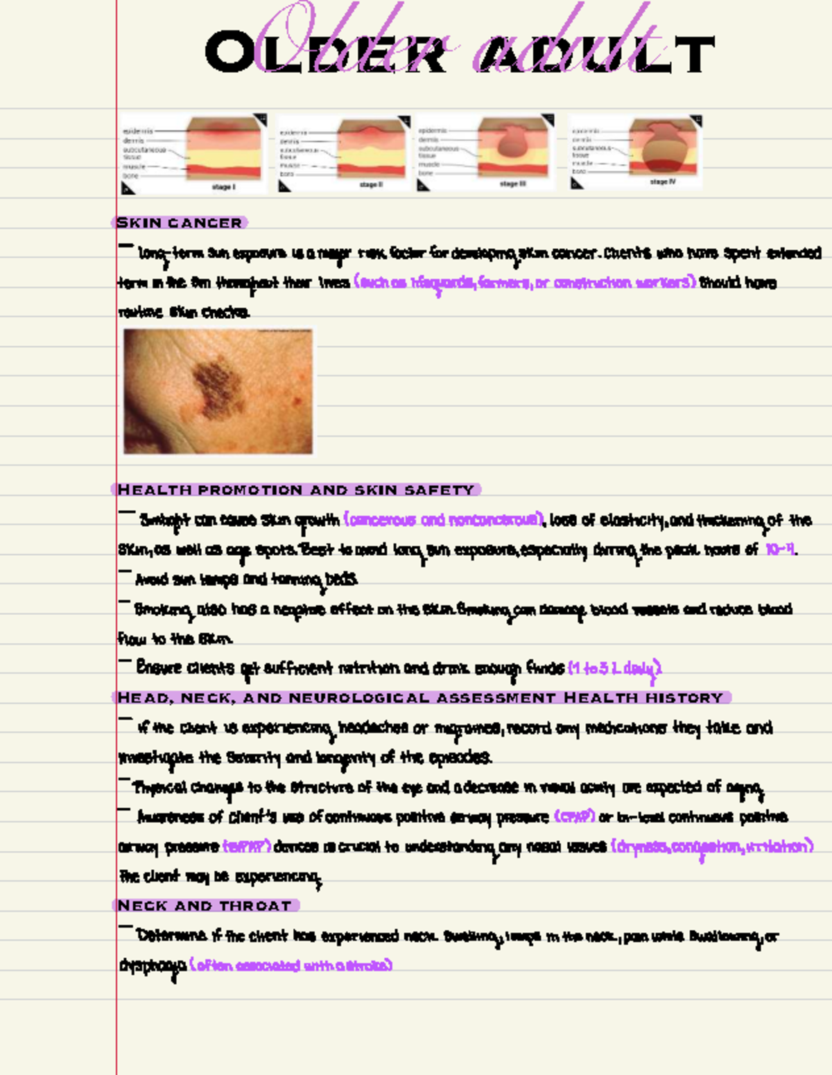 Health Promotion and Safety in Aging: Skin Cancer Awareness (HLTH 101 ...