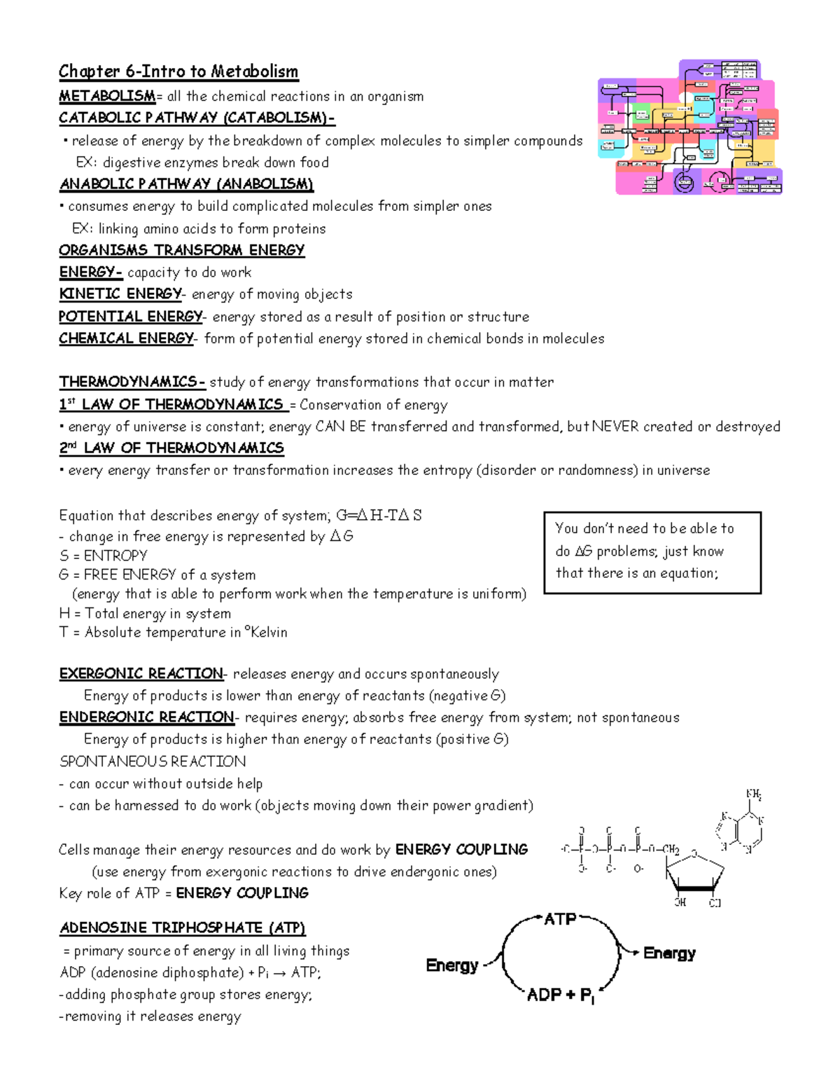 Metabolism, Cellular Respiration & Photosynthesis Overview (Bio 101 ...