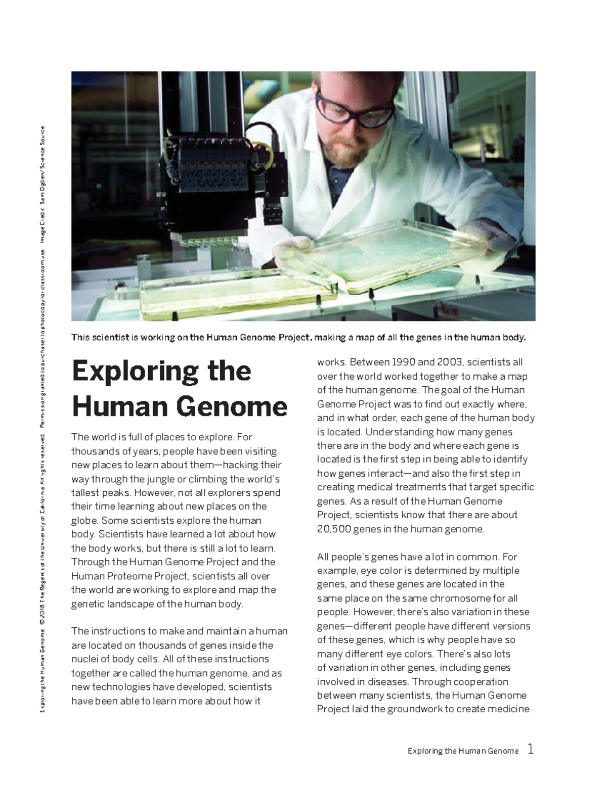 Exploring the Human Genome: A Comprehensive Overview - Studocu