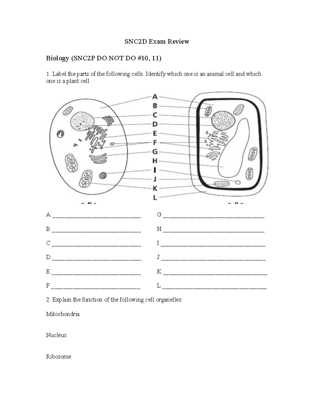 SNC2D Final Exam Review: Biology & Chemistry Concepts - Studocu