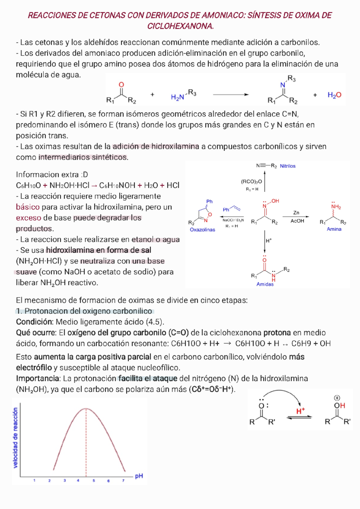 Laboratorio Nº5: Síntesis de Oxima de Ciclohexanona y Reacciones de ...