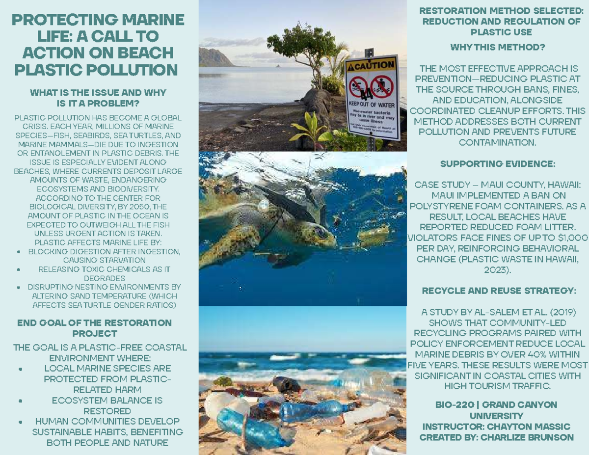 Restoration Pamphlet: Protecting Marine Life from Plastic Pollution ...