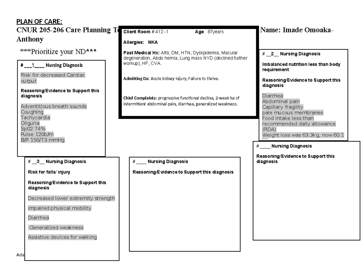 Care Plan: CNUR 412 - Acute Kidney Injury & Nursing Diagnoses - Studocu