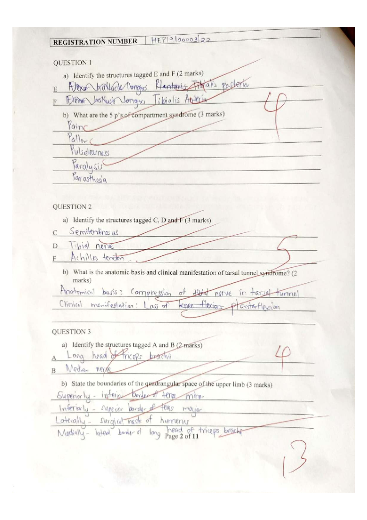 Anatomy Spot Paper Y1S2 2022-23: Identification & Clinical Cases - Studocu