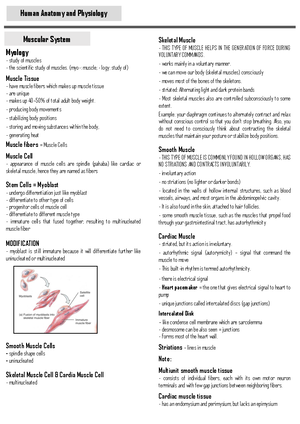 Gross anatomy of the muscular system review sheet: exercise 13 - Review ...