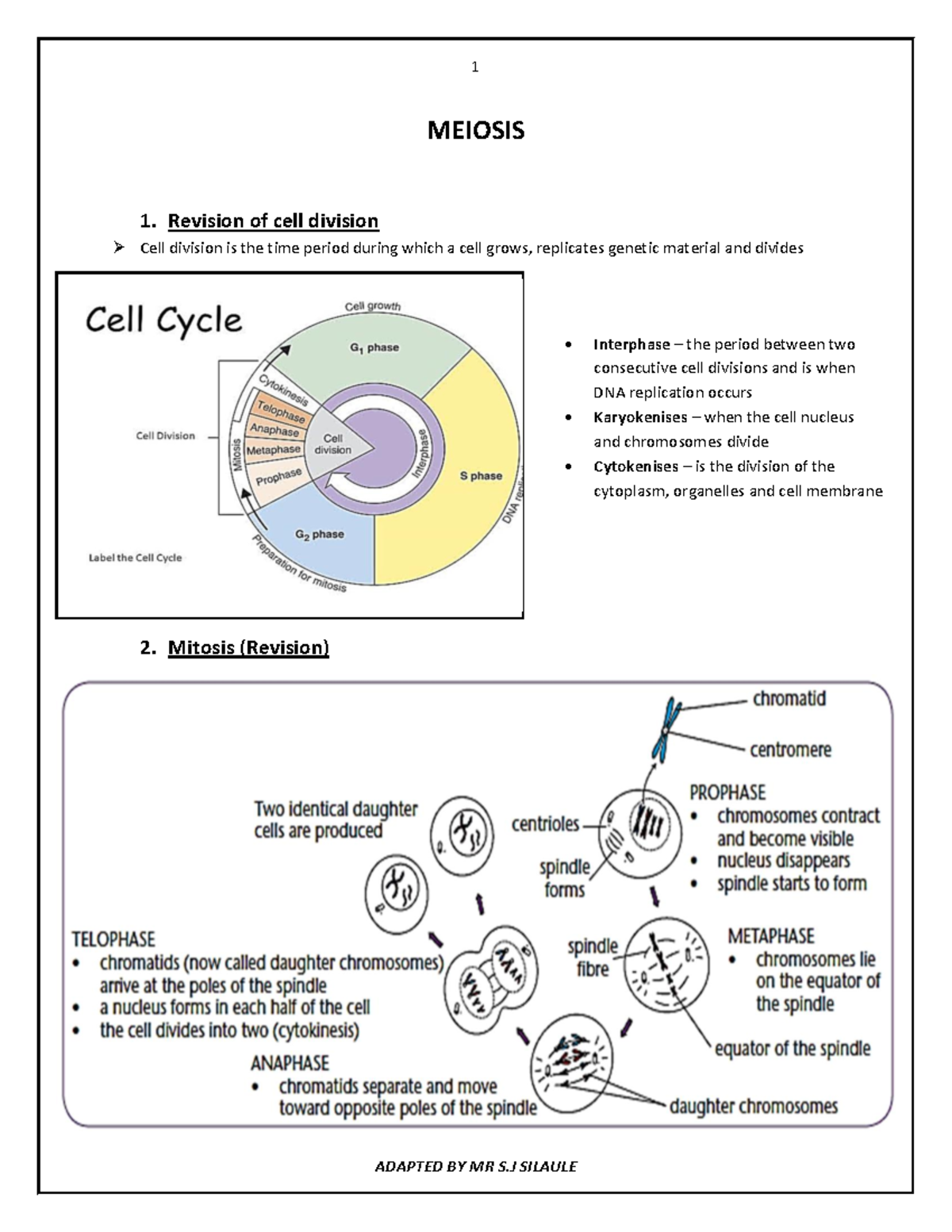LFSC GR12 Meiosis Notes: Understanding Cell Division and Genetics - Studocu