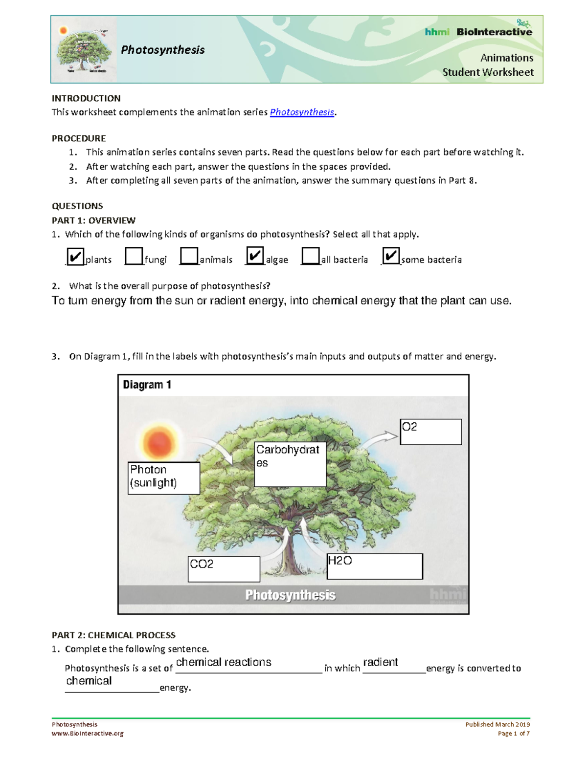 Photosynthesis (BIO101) Biointeractive Animations Student Worksheet ...
