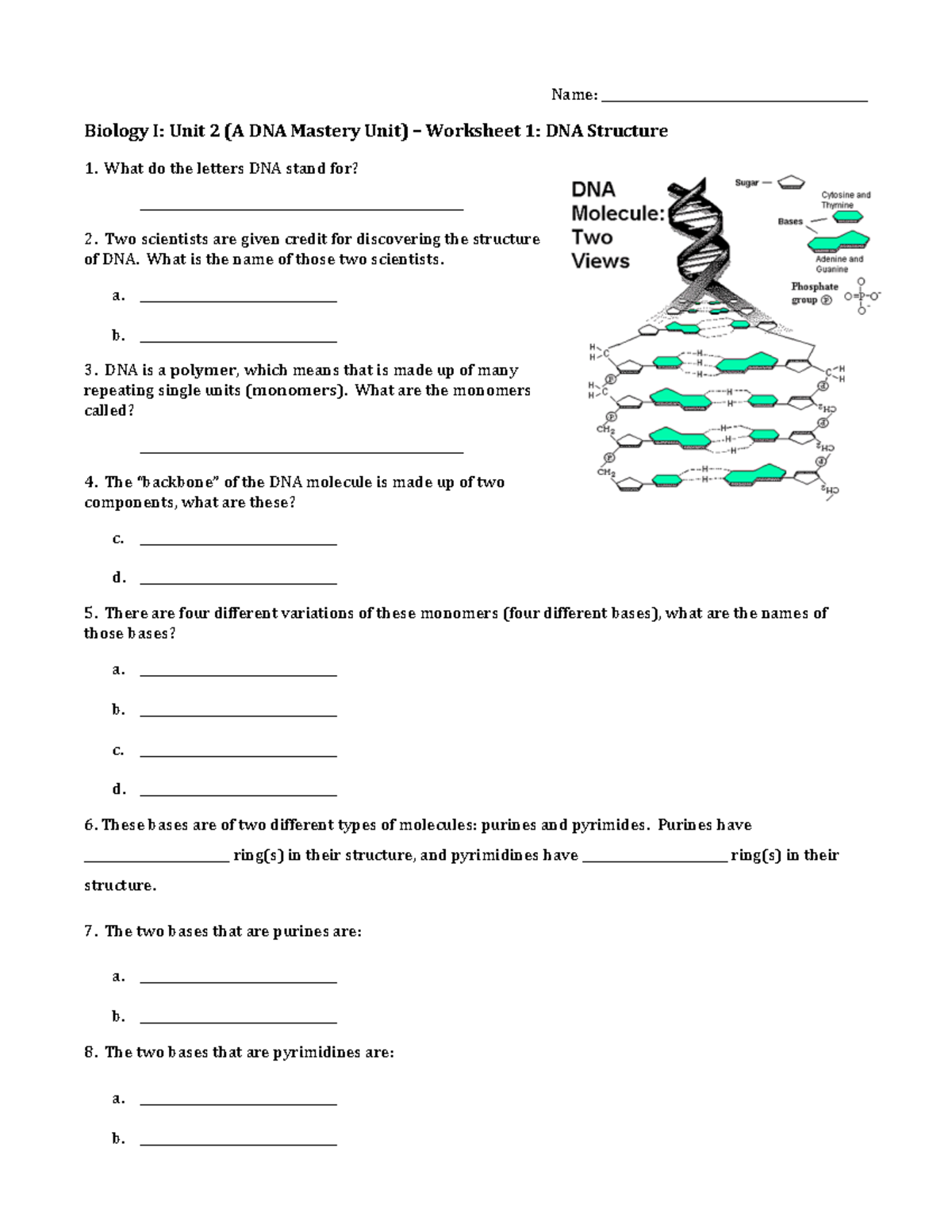 Biology I: Unit 2 DNA Structure Worksheet (APBIO) - Studocu