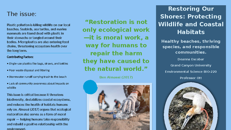 ENV 101: Restoration Pamphlet on Combating Plastic Pollution - Studocu