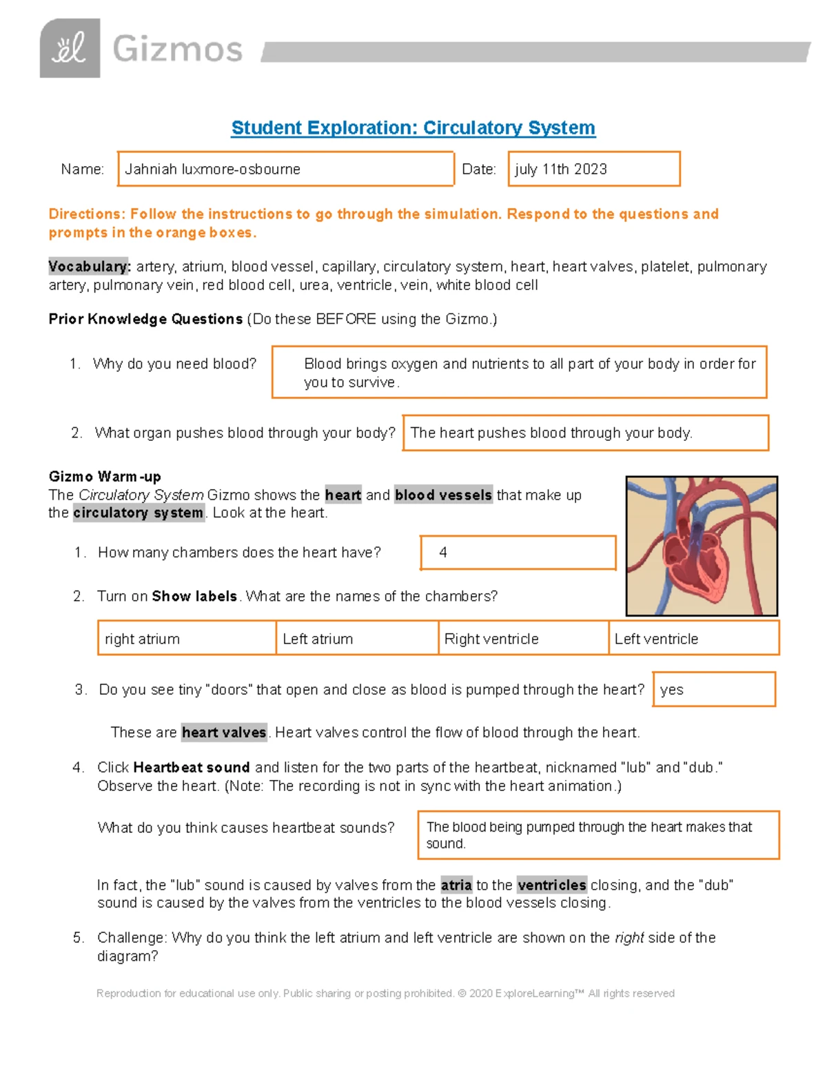 Dichotomous Keys - Gizmos answers yasss - Name: Stephanie Diaz Date: 12 ...