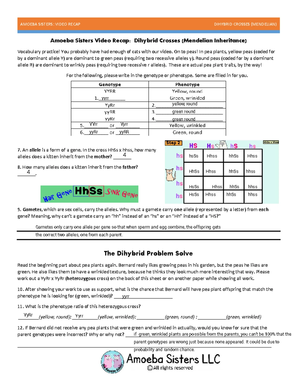 Rabbit Population Dynamics: Exploring Limiting Factors and Carrying ...