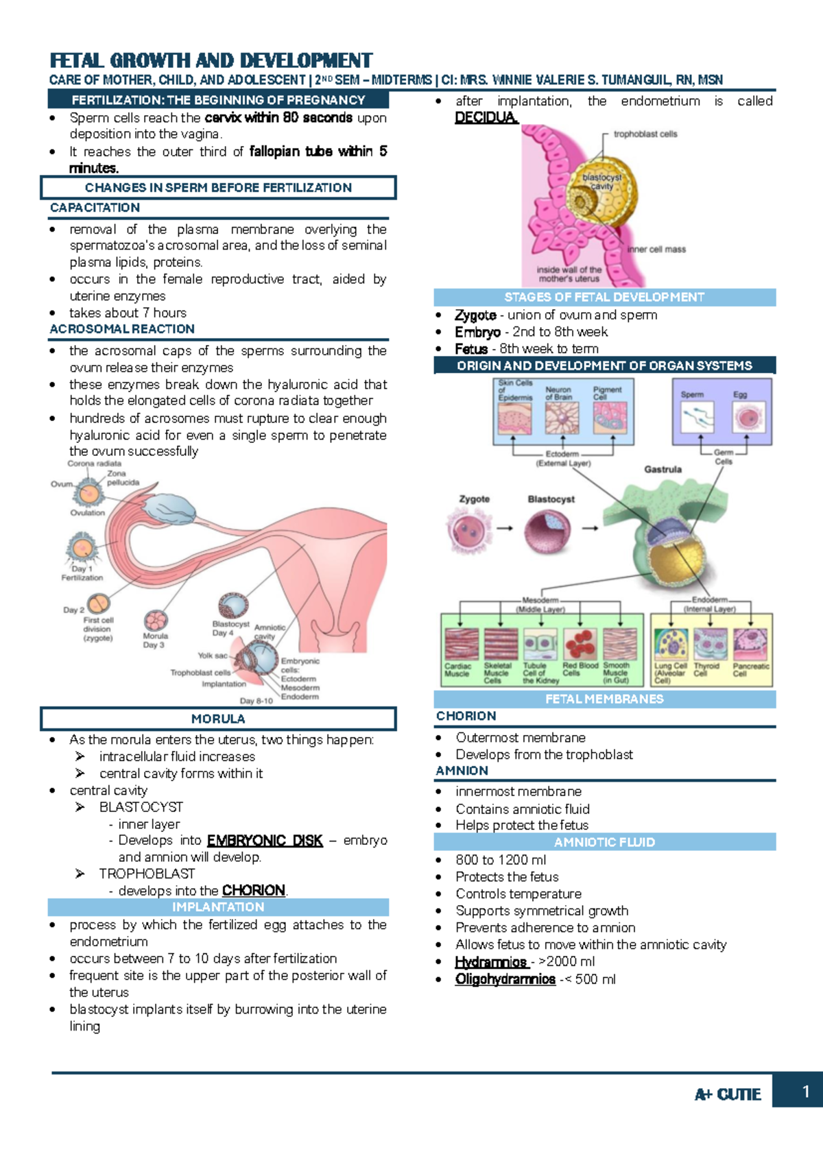 Maternal Care & Fetal Development: Midterms (CC 2nd Sem) - Studocu