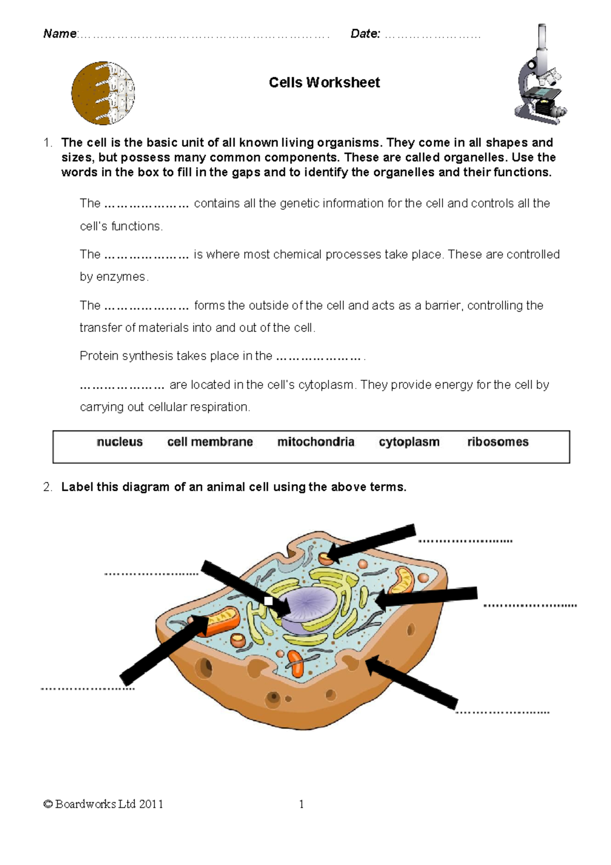 Cells Worksheet - Practice Questions on Cell Structure and Functions ...