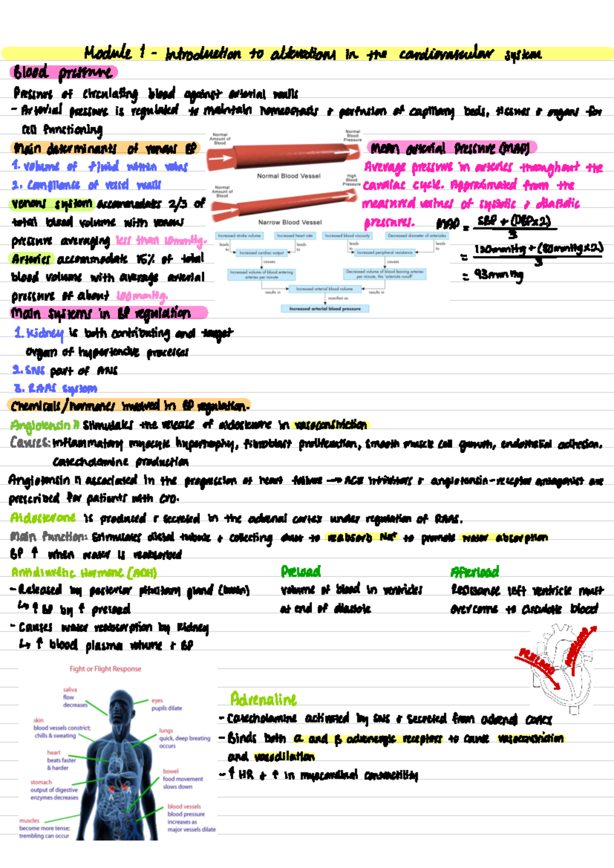 HV3 Cardiovascular System & Stroke - Module Notes - Studocu