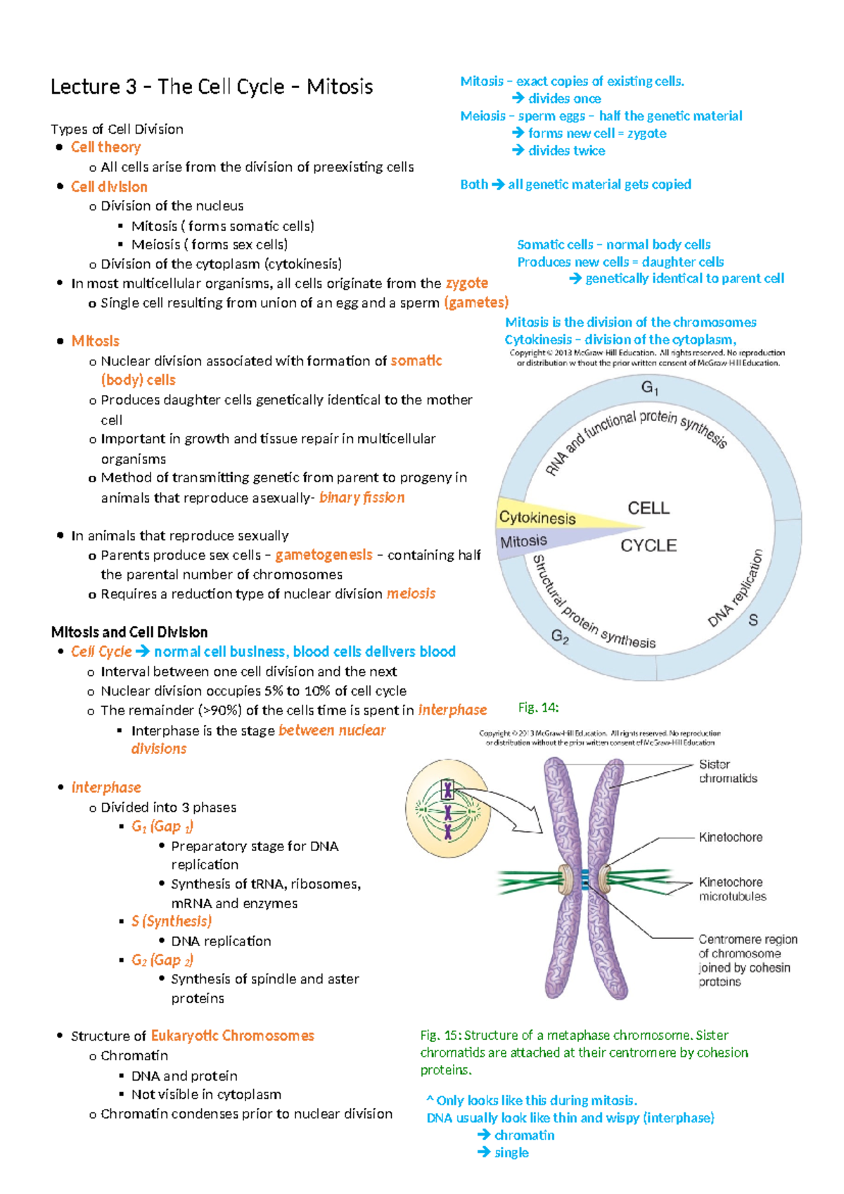 ANS102 Lecture 3: The Cell Cycle and Mitosis Overview - Studocu