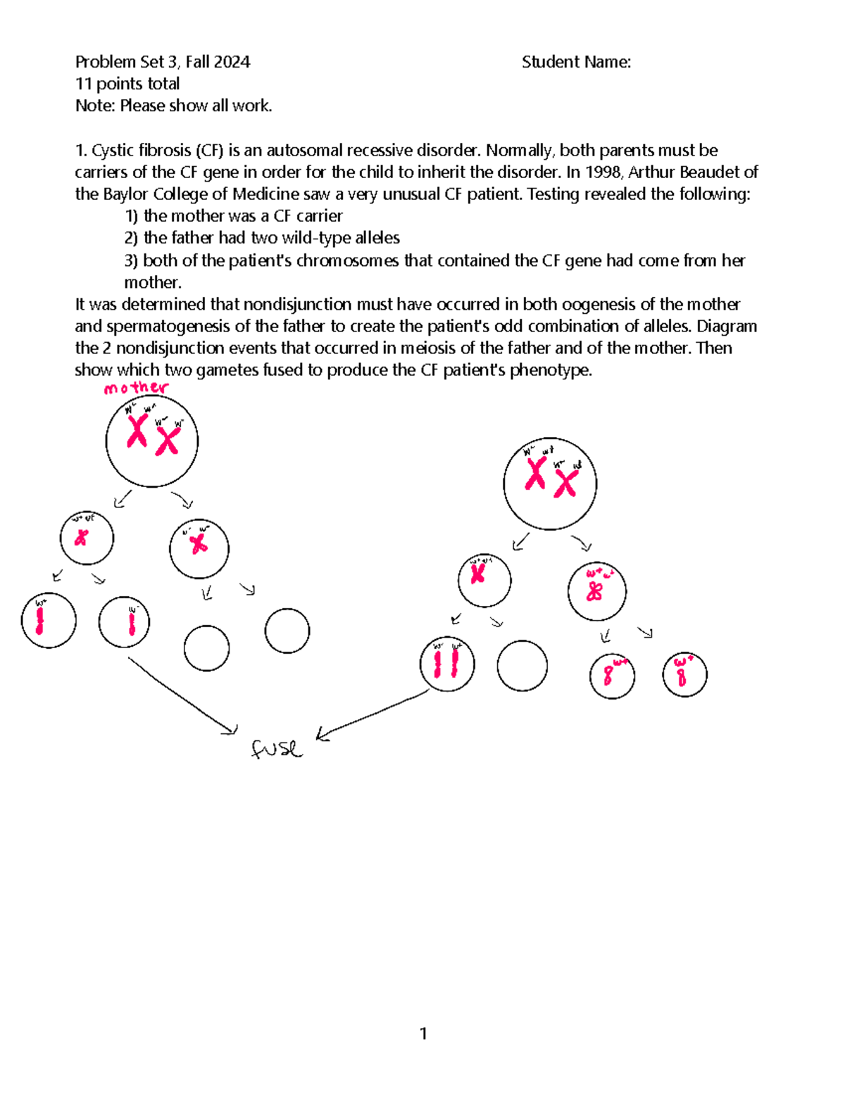 BIO 101 Problem Set 03: Final Attempt on Genetic Disorders and ...