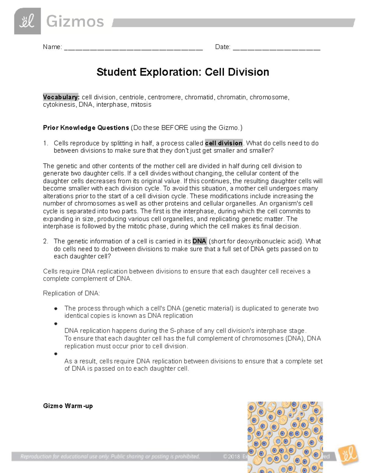 Exploration of Cell Division - Assignment SE - Studocu