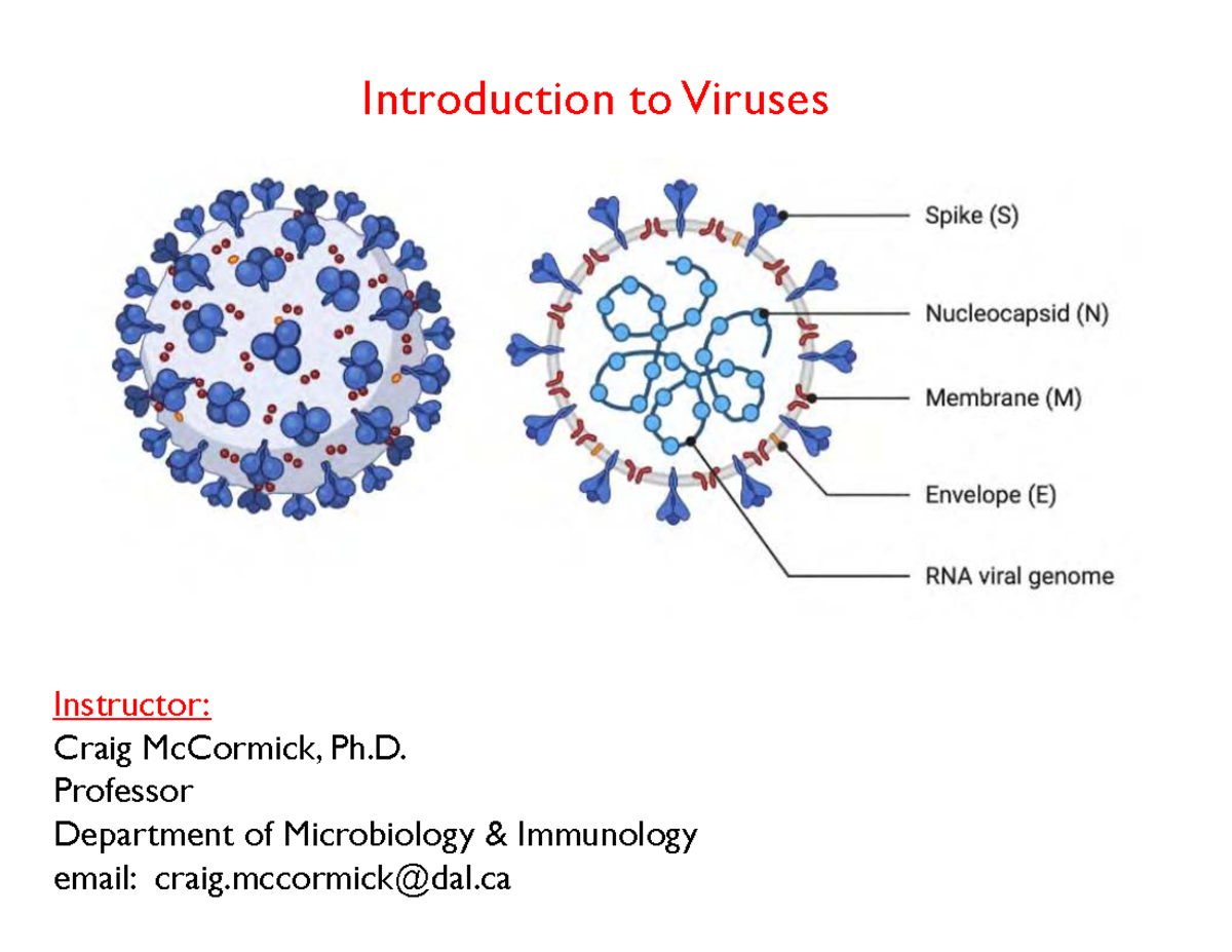 Virology Fundamentals: Introduction to Viruses (MICRO 101) - Studocu