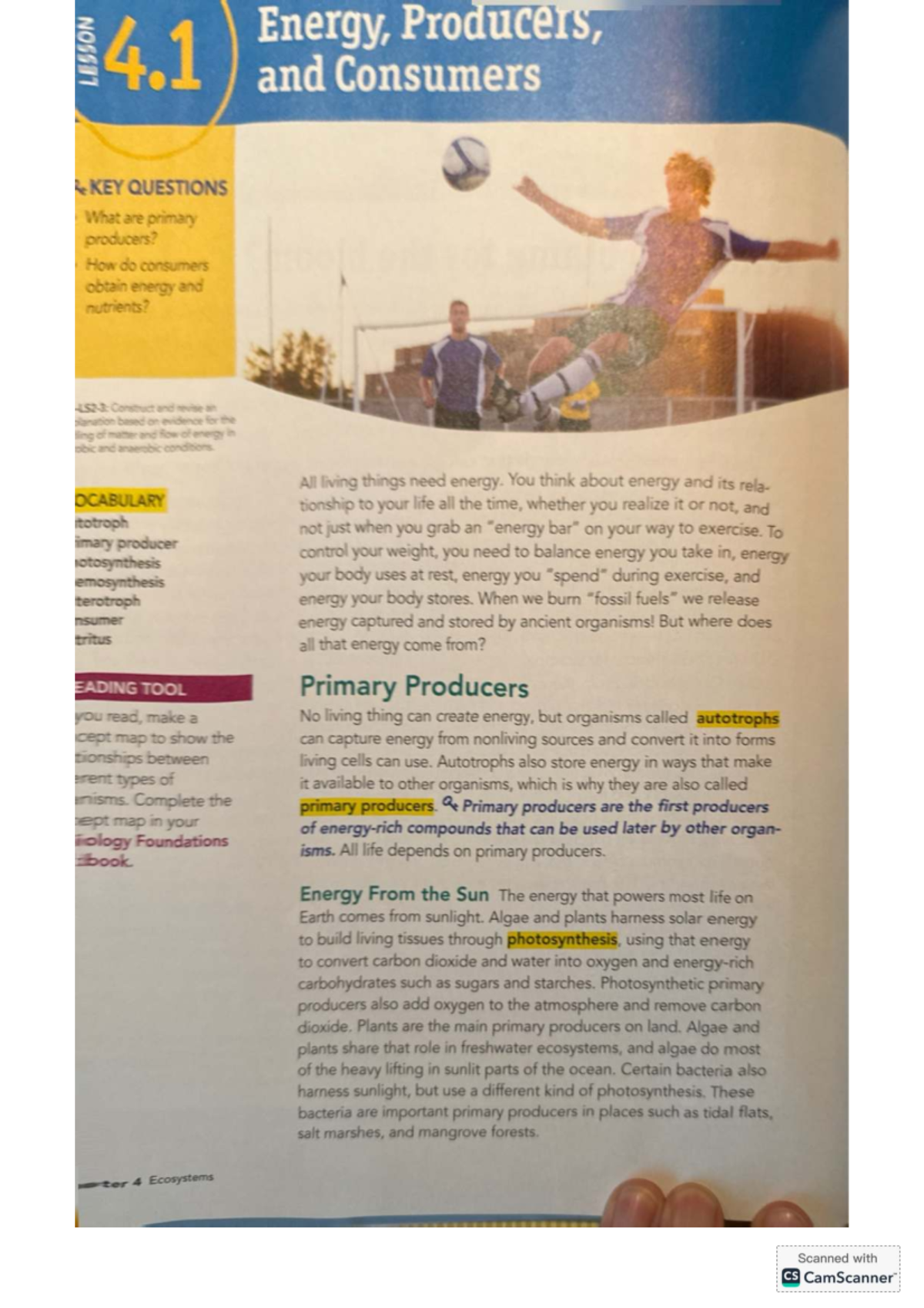 LESSON 4.1 Energy, Producers, and Consumers Overview and Key Concepts ...