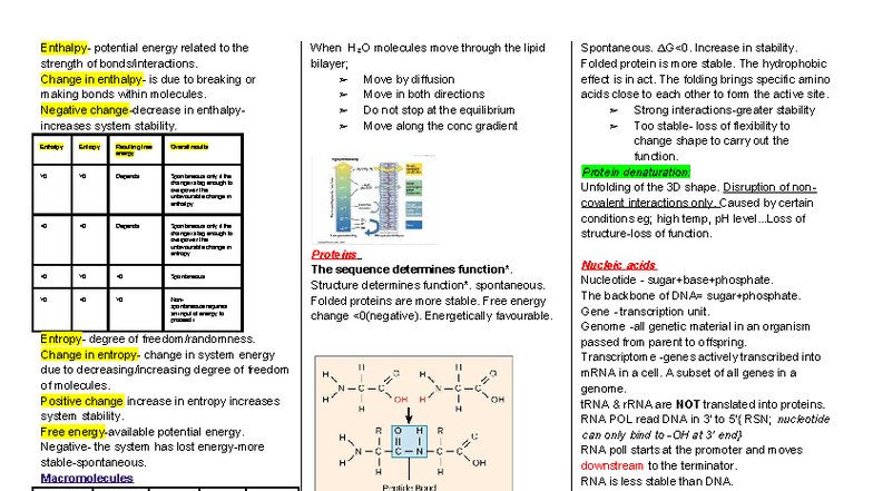 BIO 112 Cheat Sheet: Summary of Potential Energy & Protein Structure ...
